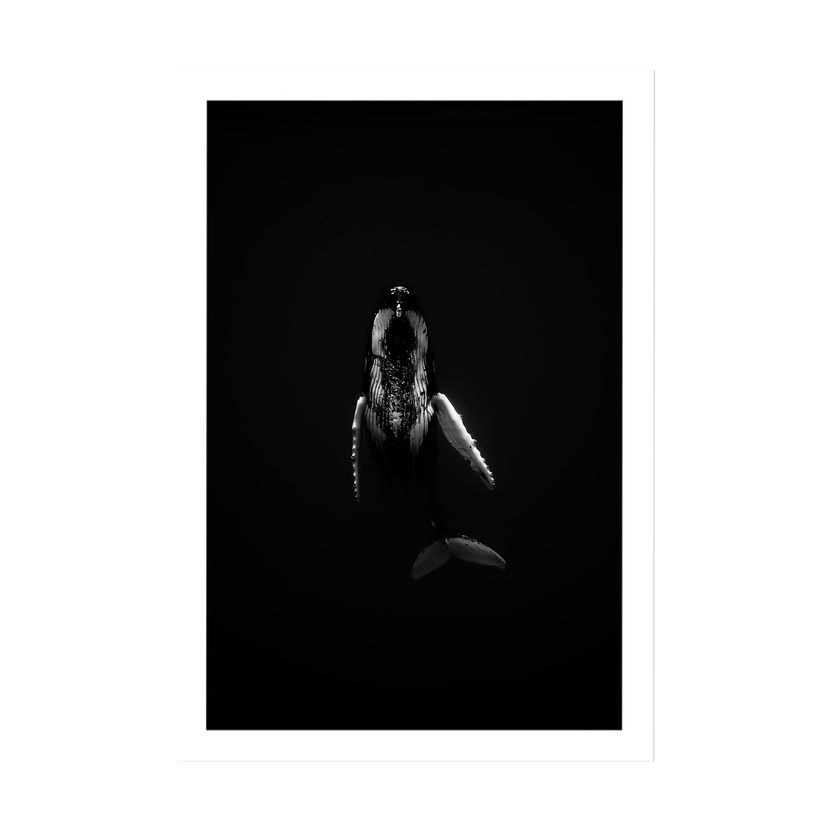 The Guardian – Matthew Hardy-Brown Photography